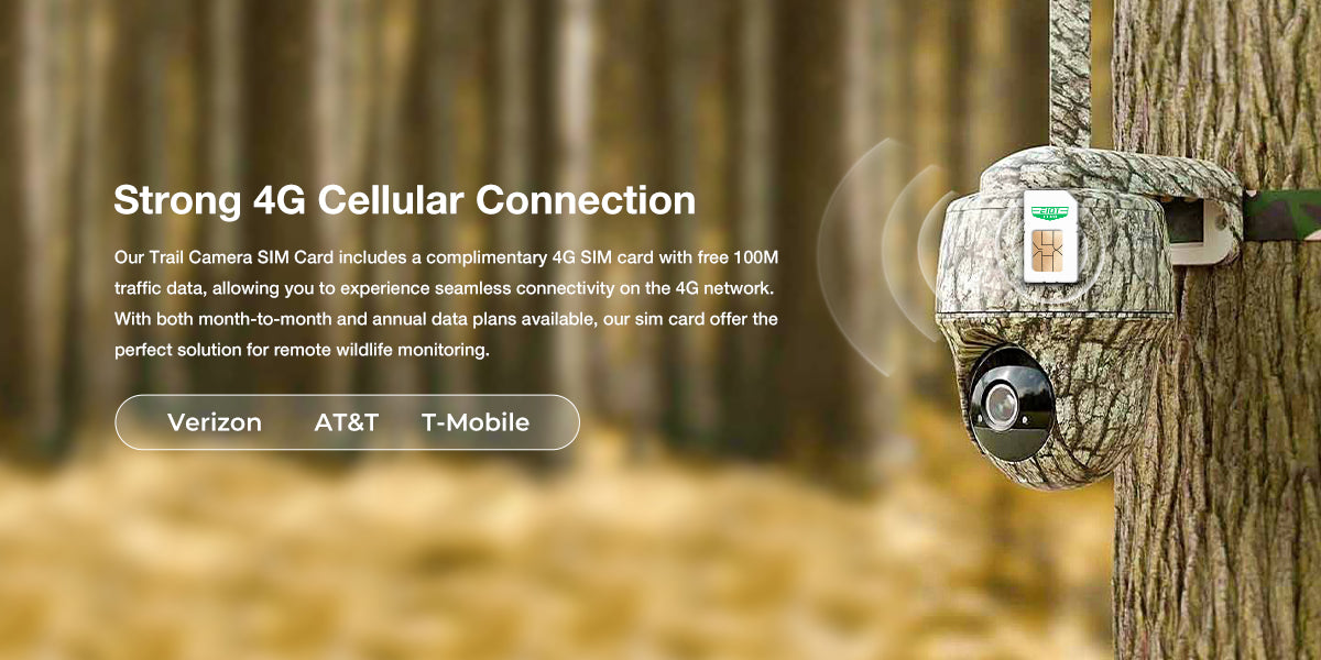 4G data-only SIM card for trail cameras – Eiotclub